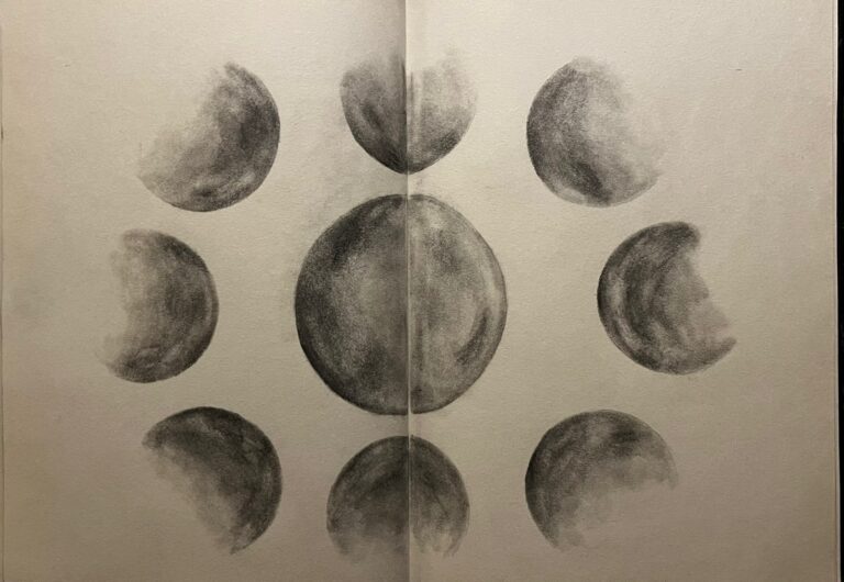 Phases of Moon | Illustration – Arsheya Chowla – Curiosity